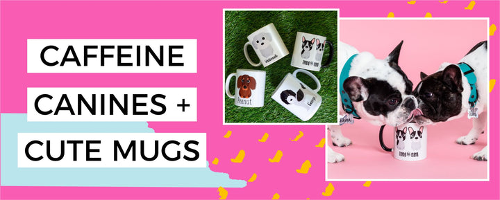 Dog Tags and Accessories For You and Your Pet - The Dapper Paw